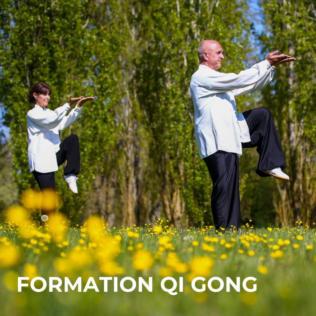 Module de formation Qi Gong - Ecole TAO